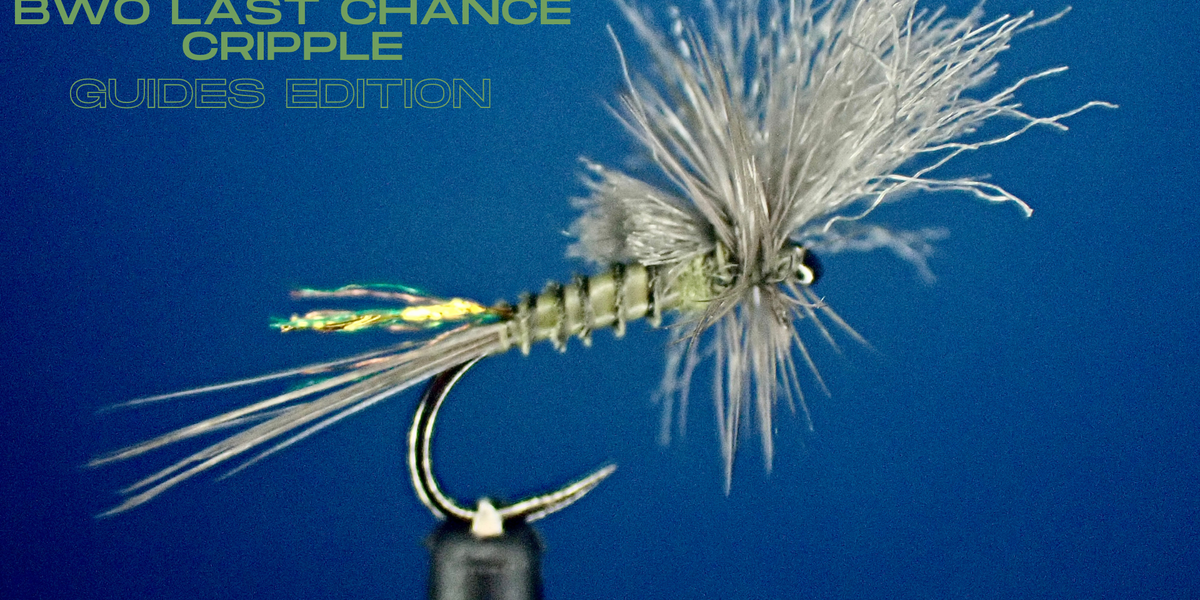 Rene Harrop BWO Last Chance Cripple Guides Edition — Moonlit Fly Fishing