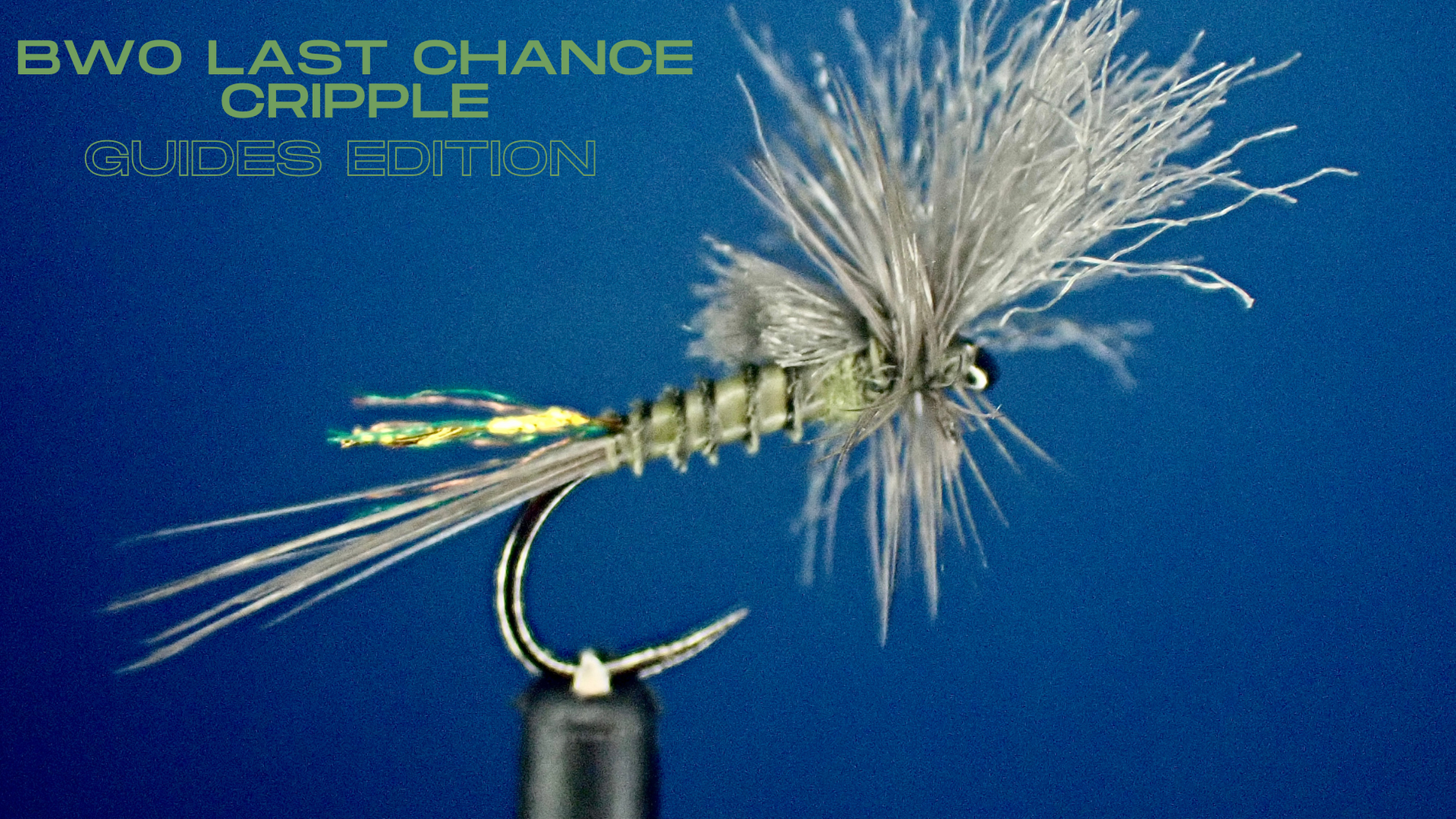 Rene Harrop BWO Last Chance Cripple Guides Edition — Moonlit Fly Fishing
