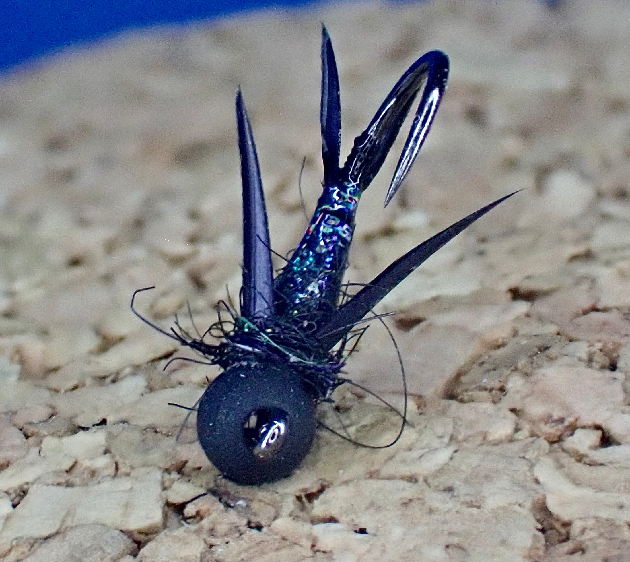Unleashing the Tungsten Torpedo: A Versatile Fly Pattern for All Angli ...