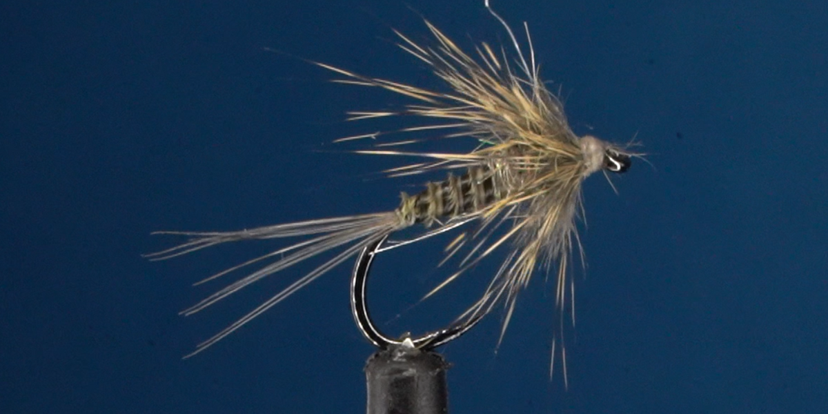 Understanding All Things PMDs (Pale Morning Duns) — Moonlit Fly Fishing