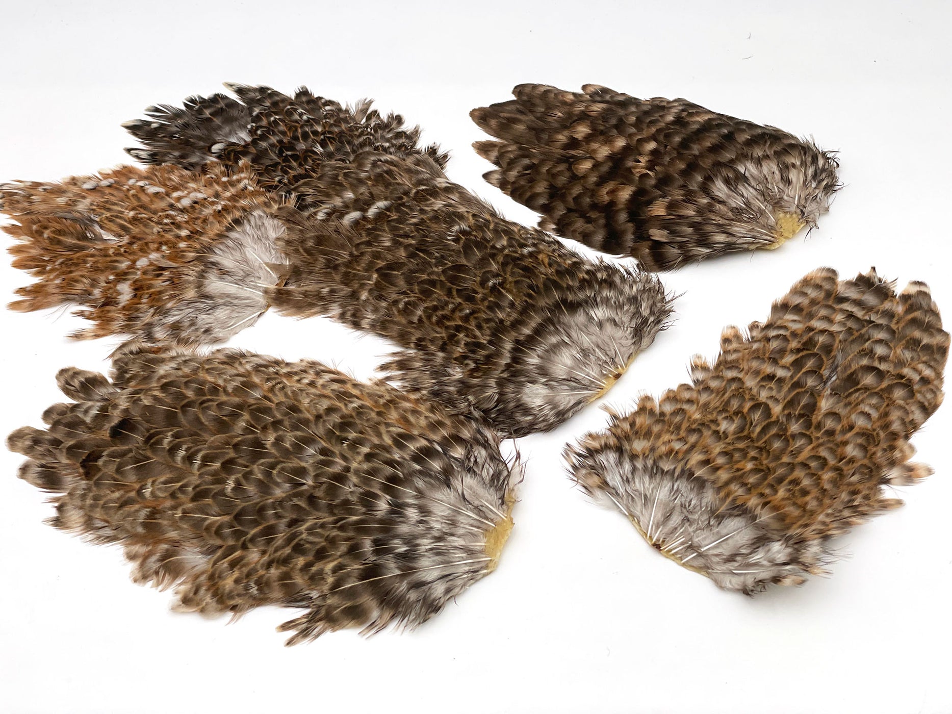 India Hen Back feather patch (Moonlit) — Moonlit Fly Fishing