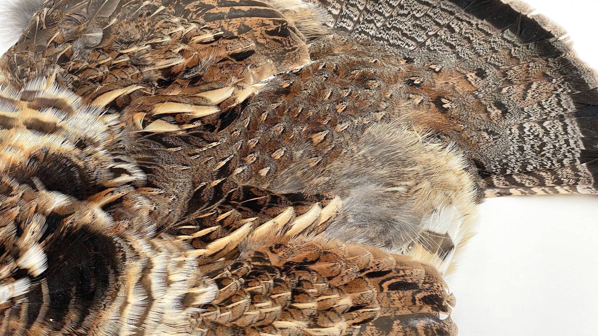 Ruffed Grouse Skin - Fly Tying Feathers — Moonlit Fly Fishing