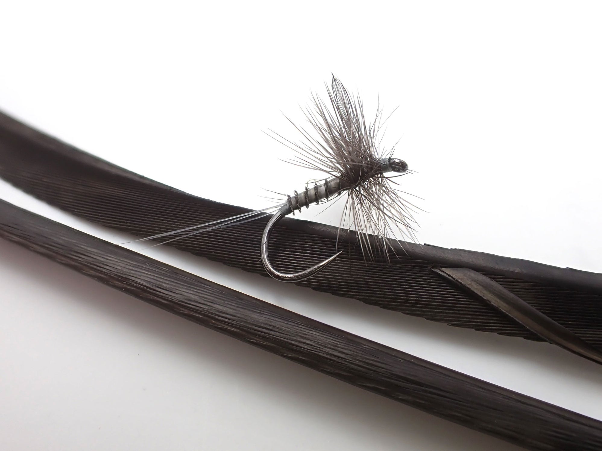 Magpie Wild Barred Turkey Biot Quills — Moonlit Fly Fishing